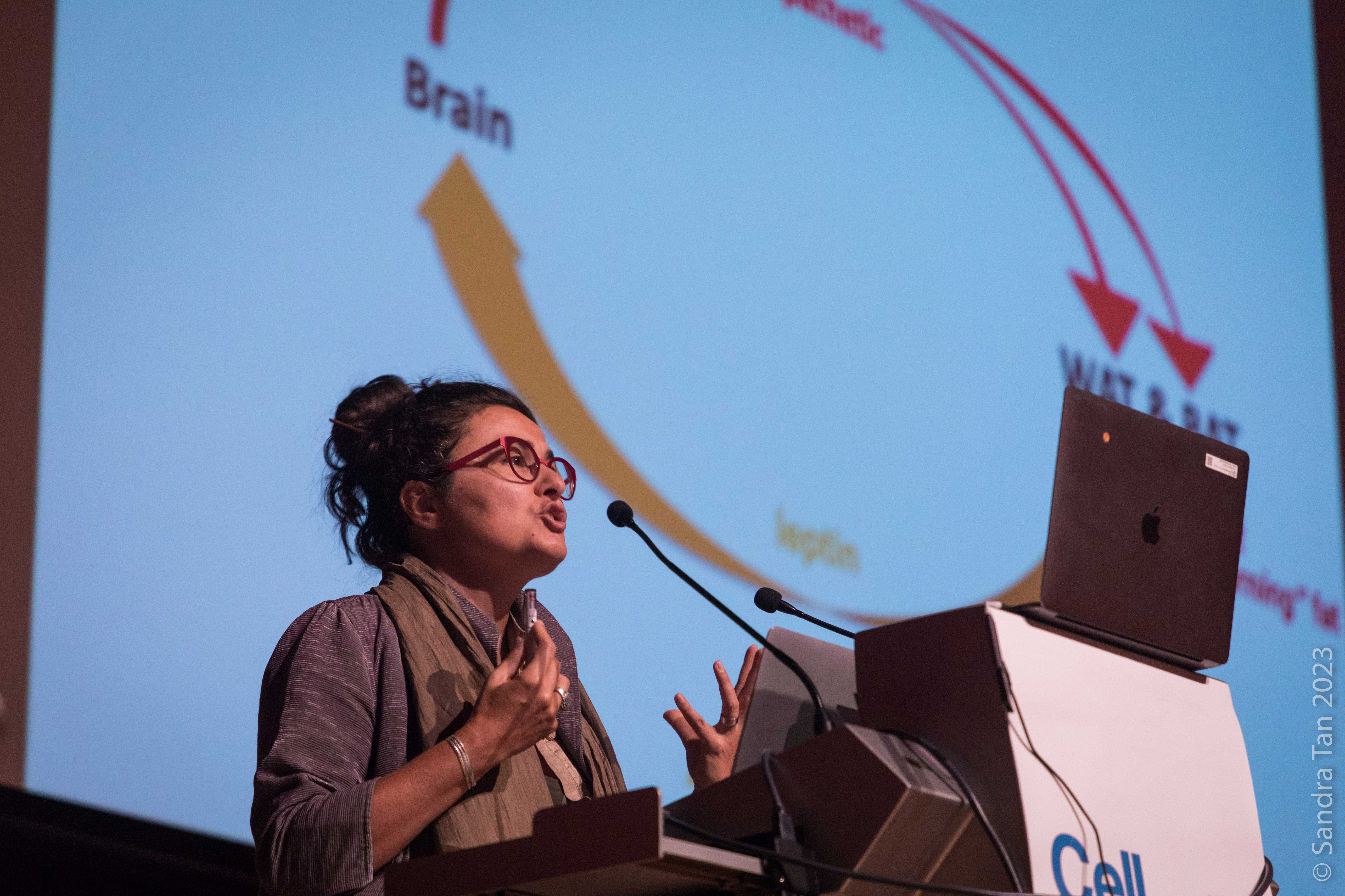 Photo's: Cell Symposium: Neurometabolism in Health and Disease