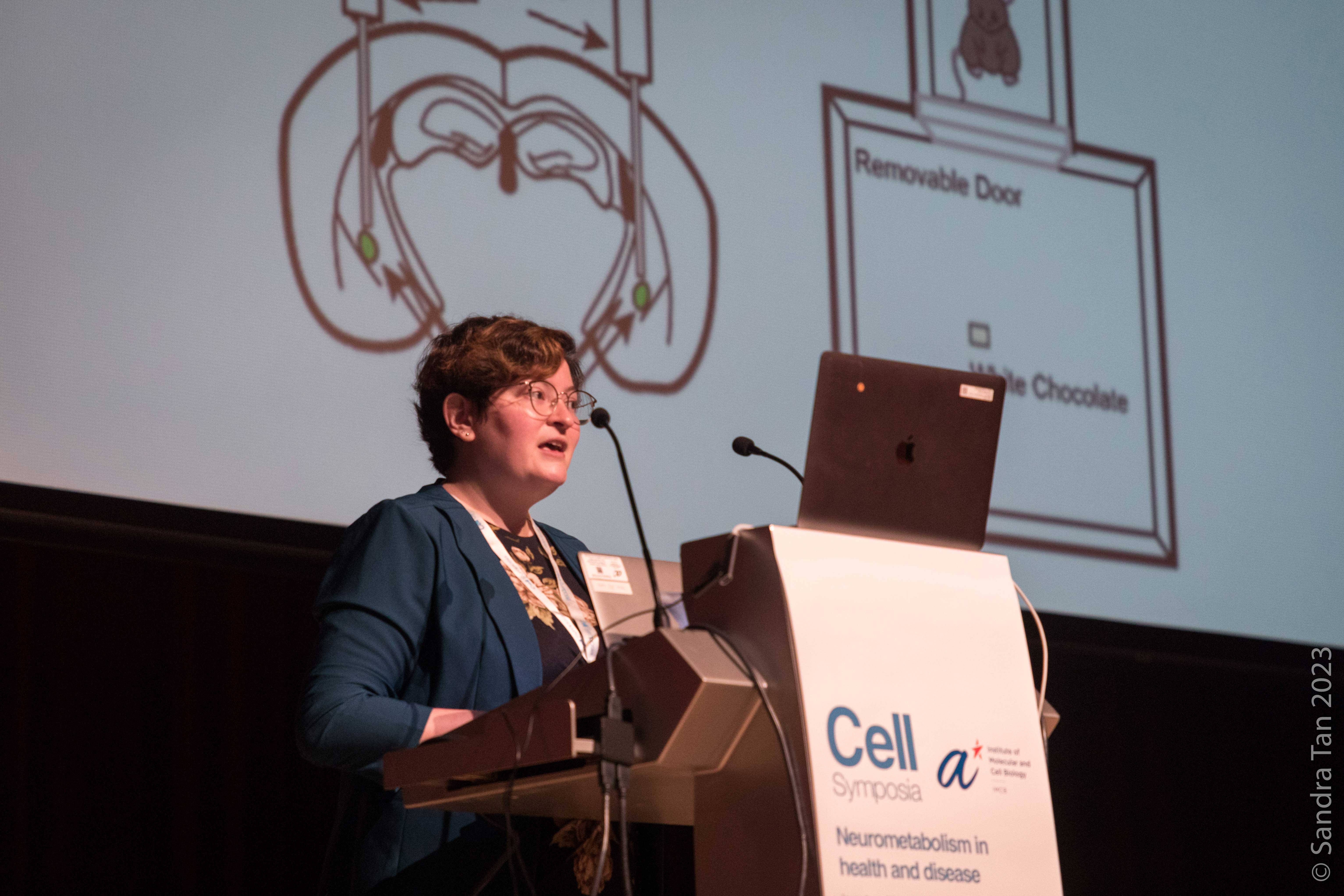 Photo's: Cell Symposium: Neurometabolism in Health and Disease